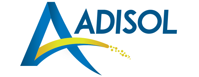 NUEVO SITIO WEB, ADISOL