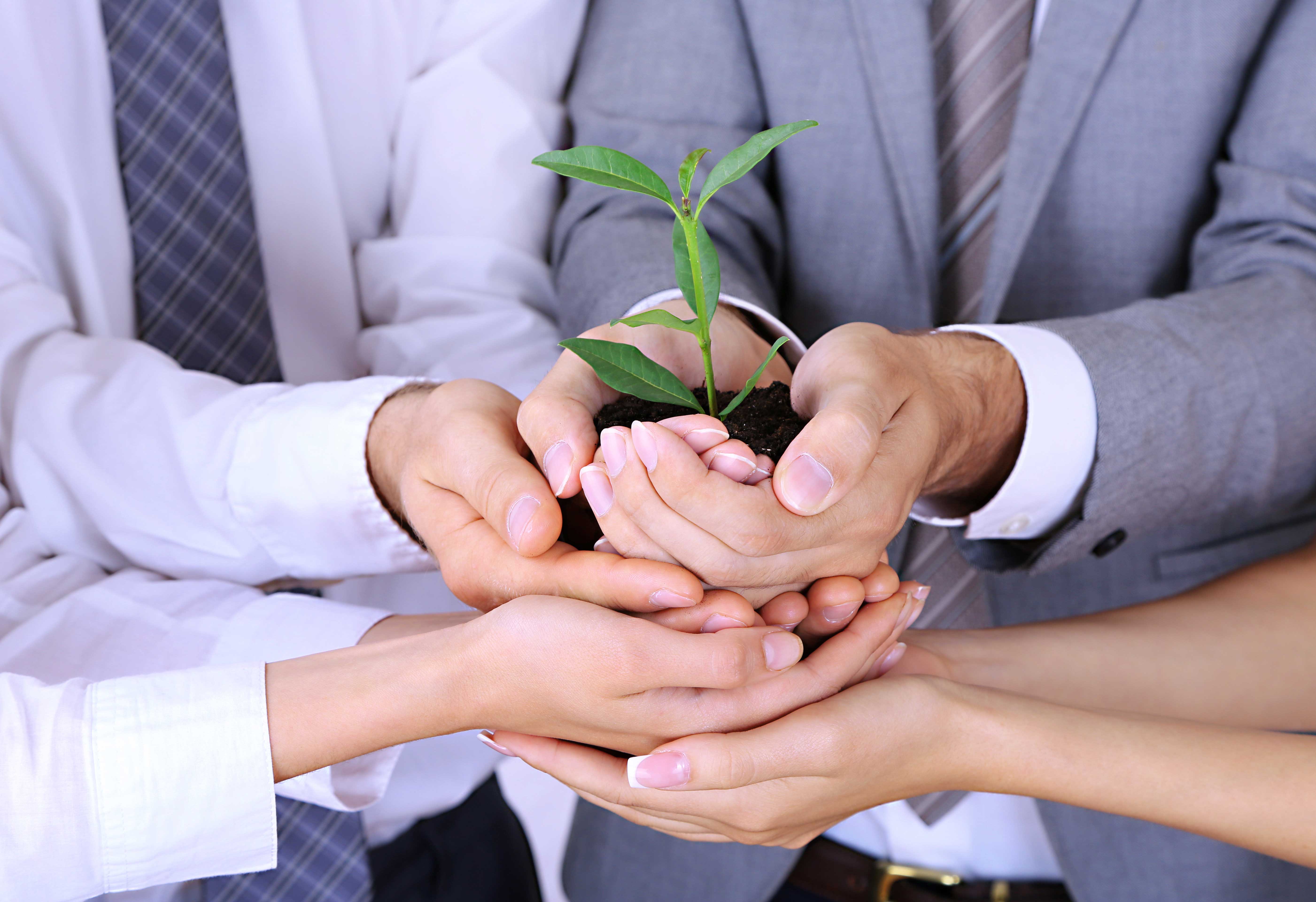 Plan Ambiental
